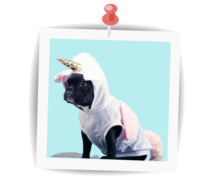 Mastering the Art of DVM Reruiting! | Webinar Registration